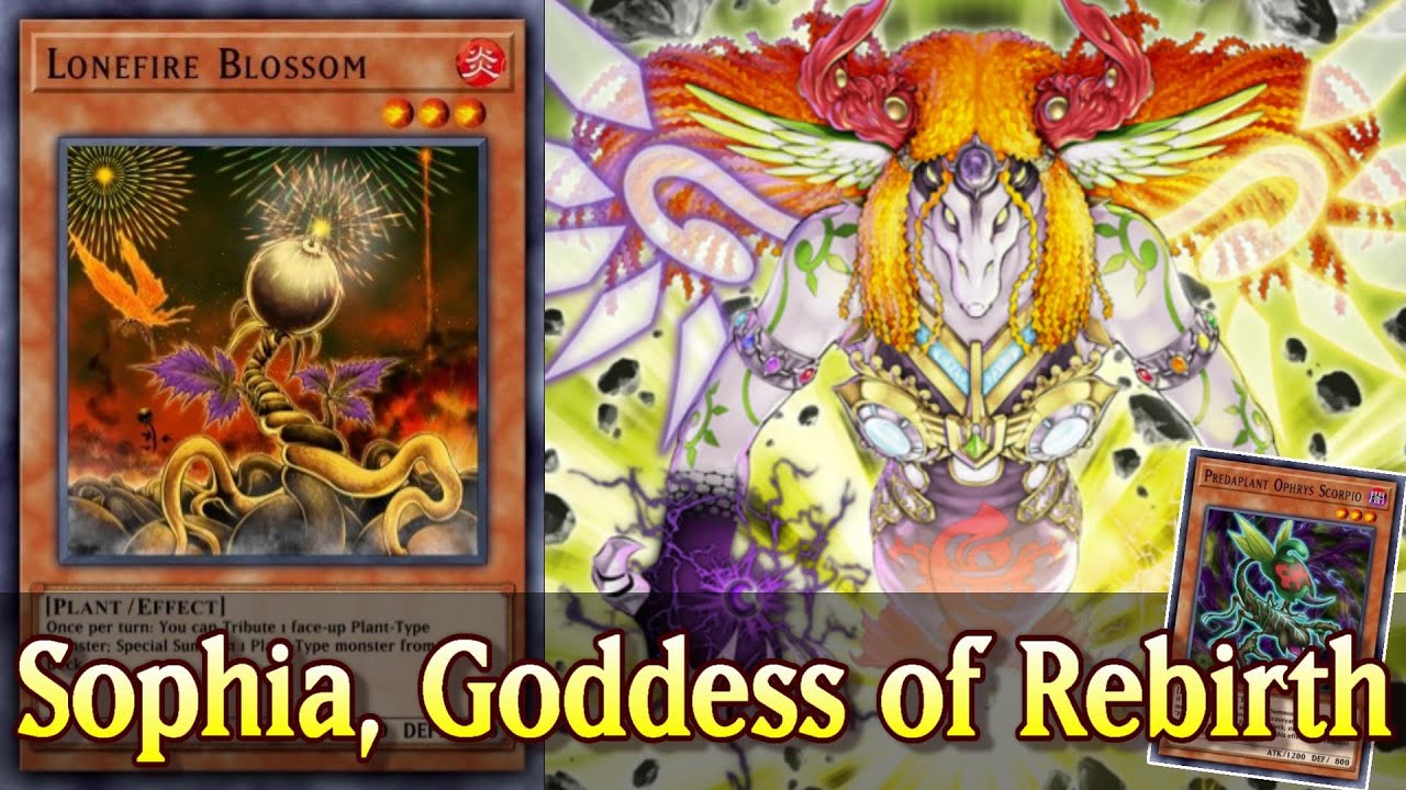Finally! 2-Card Sophia, Goddess of Rebirth (No Skill Required) [Yu-Gi ...