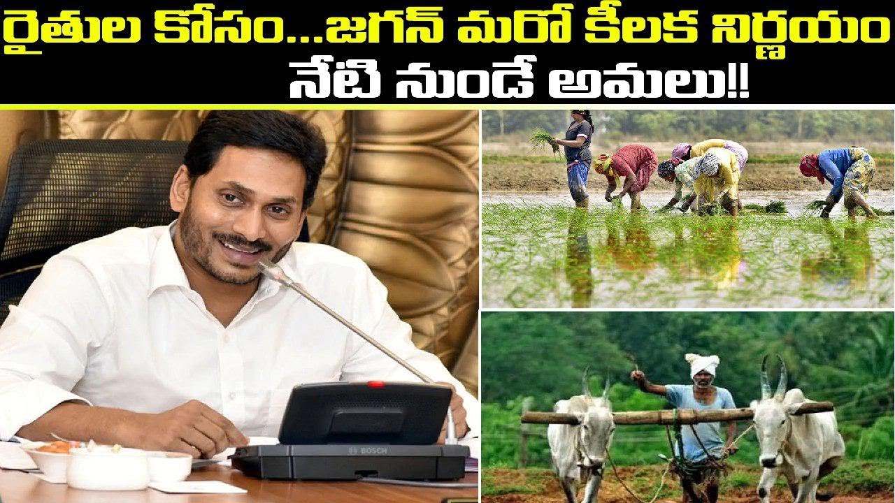 YSR Rythu Bharosa : Good News For AP Farmer,Govt Supplying Seeds From ...