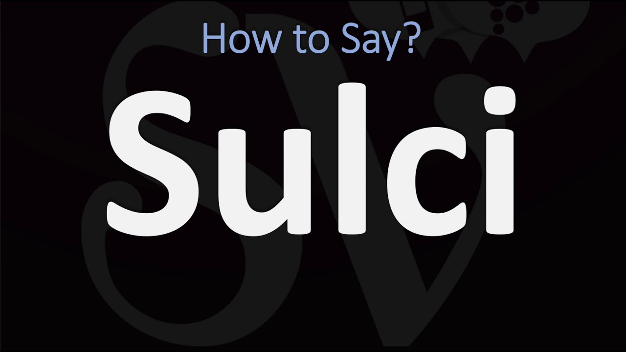 How to Pronounce Sulci? (CORRECTLY) - YouTube