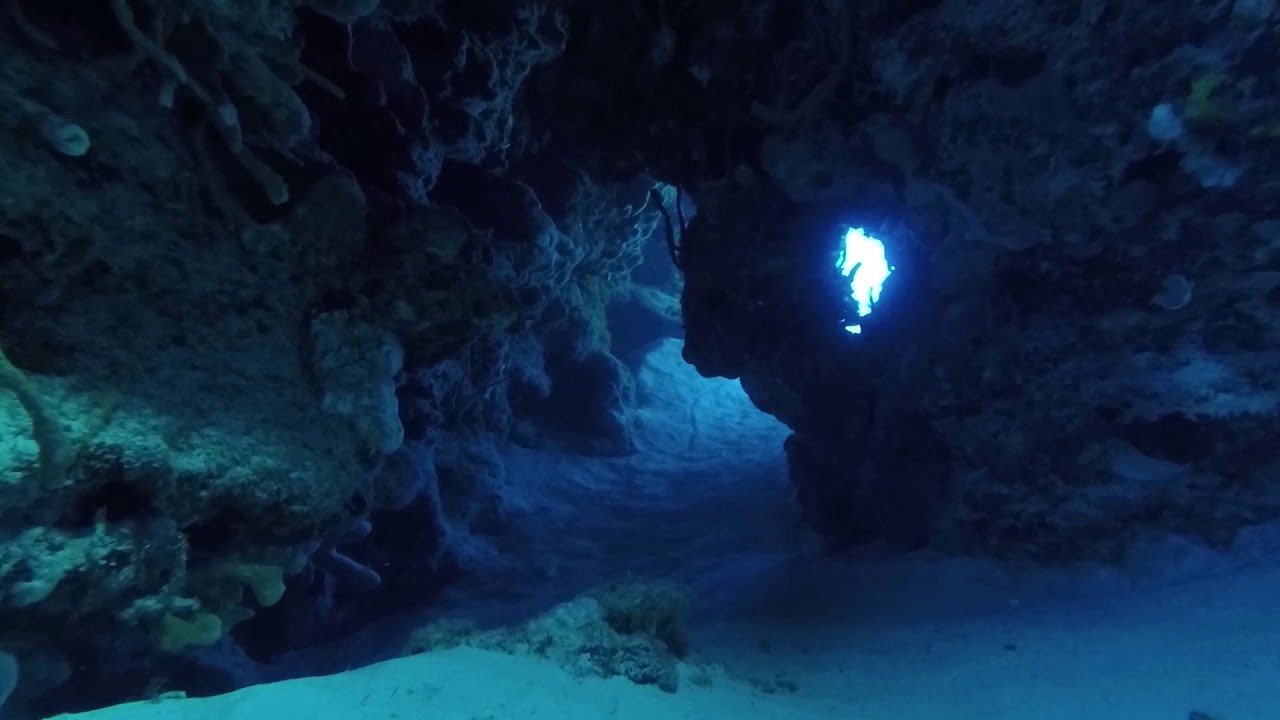 Diving in Cozumel, Santa Rosa Wall - YouTube