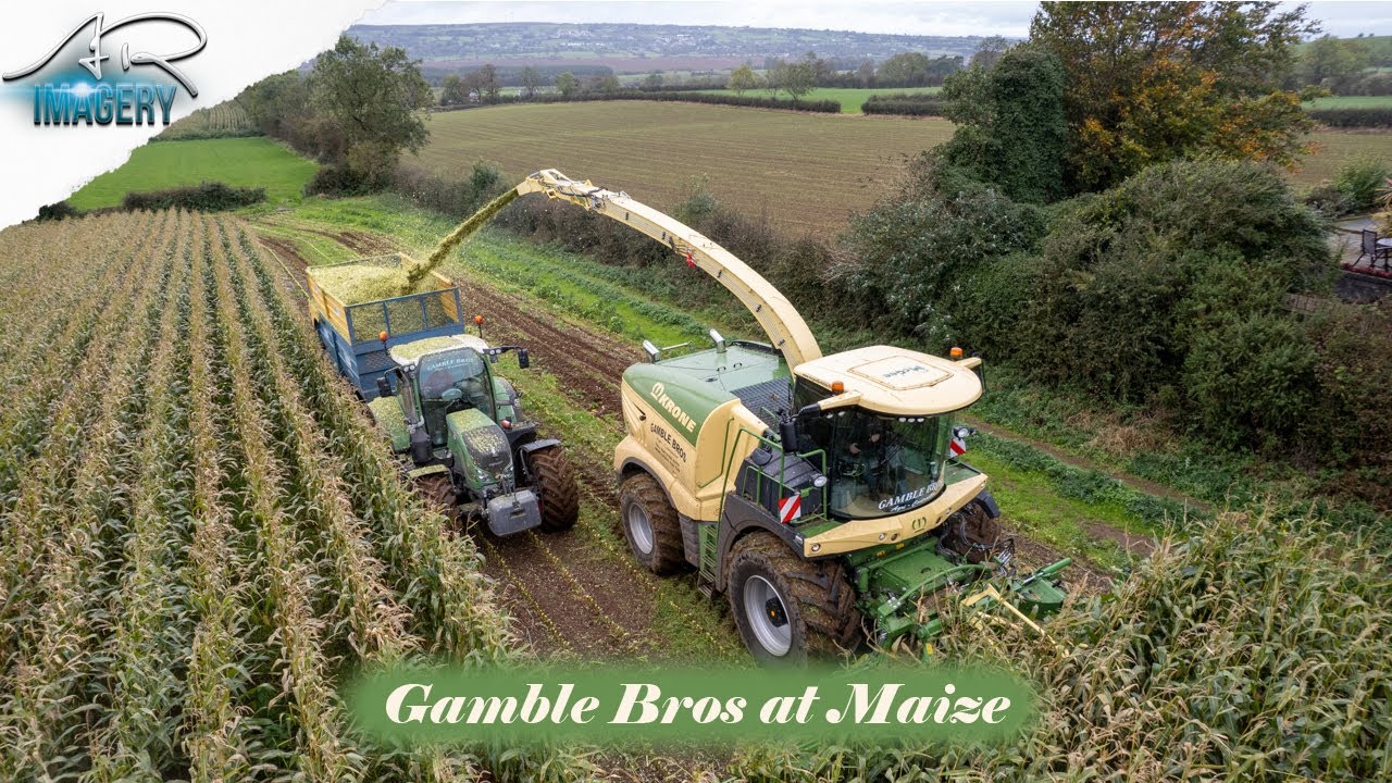 Gambles Bros at Maize with the Krone Big X 1180 & 12 row header - YouTube