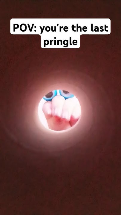 (NEW) POV: You're the Last Pringle in the Can (credits to: @heyitzpuppies) - YouTube