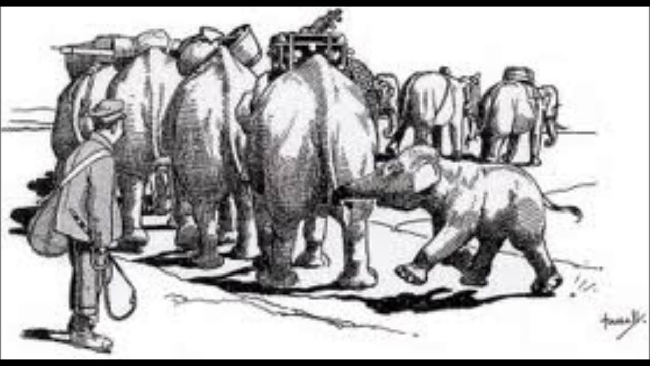 POOR LITTLE AGGIE - YouTube