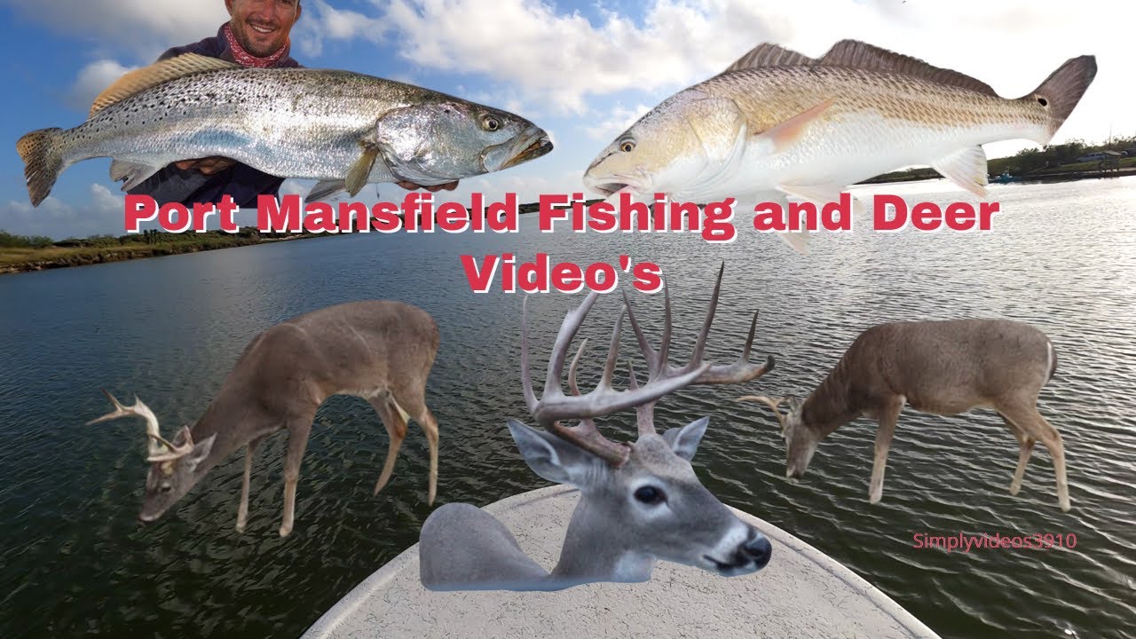 Fishing Port Mansfield: The Best Kept Secret in Texas - YouTube