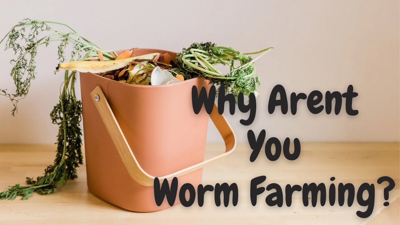 How To Build The Easiest Worm Farm Tub and Beginners Worm Bedding ...