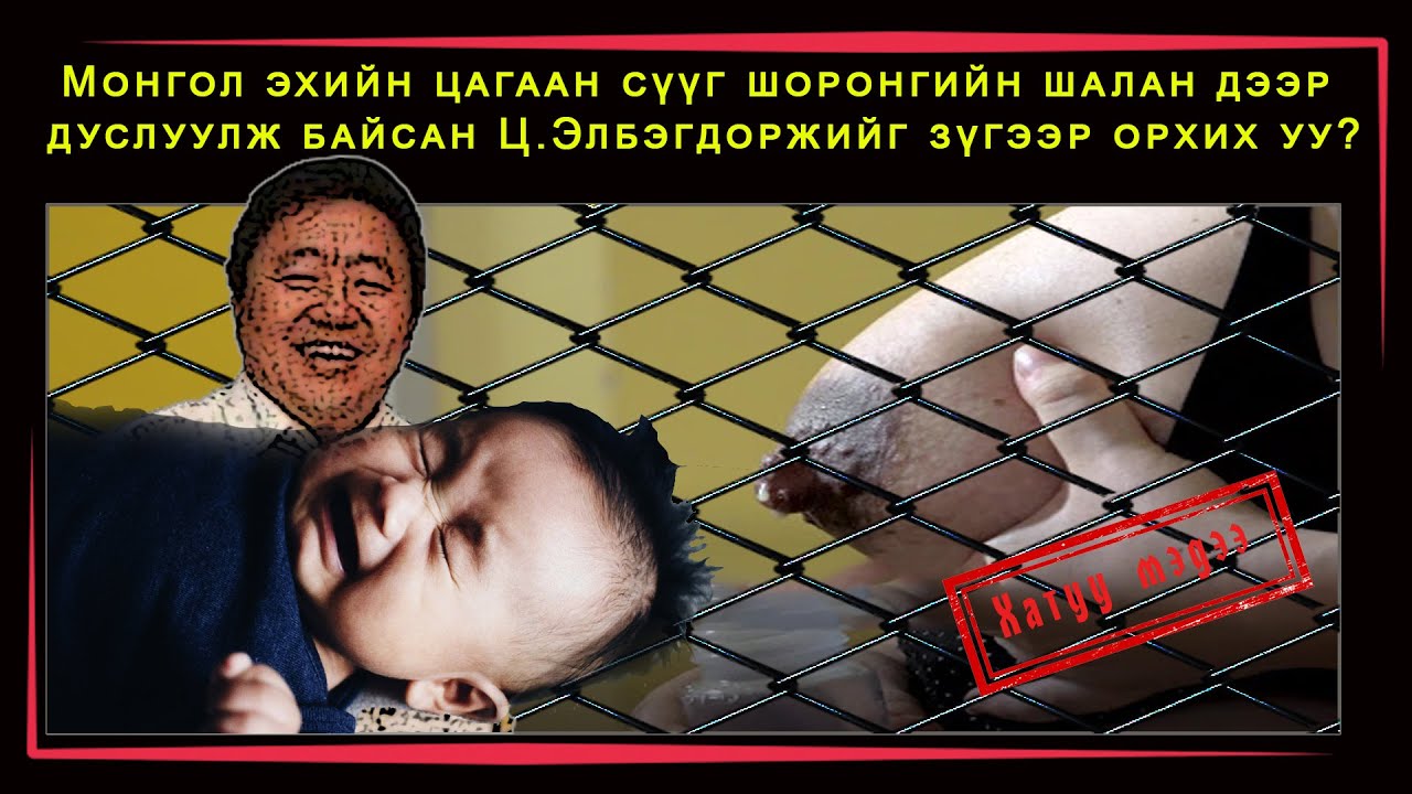 Монгол эхийн цагаан сүүг шоронд дуслуулж байсан Ц Элбэгдорж хаачив