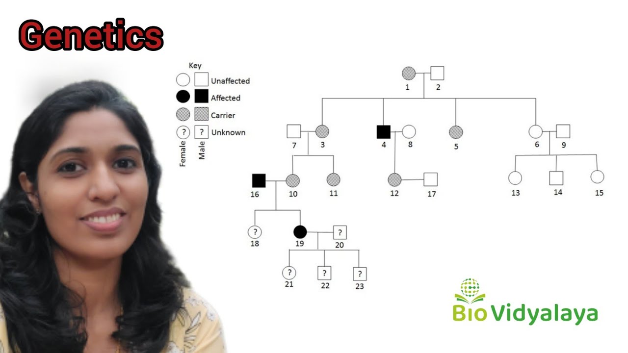 Genetics Problem Solving Part 2 | Pedigree Analysis Practice Question #pedigreeanalysis # ...
