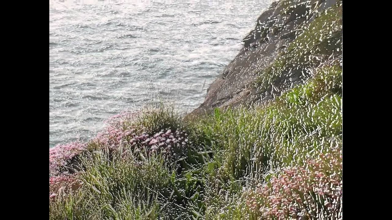 KORNWALIA 2011 NEWQUAY TINTAGEL EDEN PROJECT - YouTube