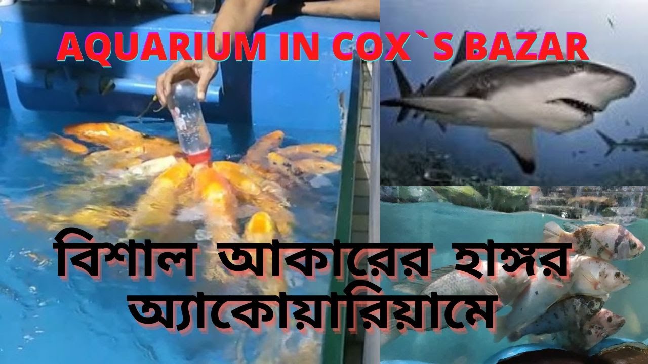 Radiant Fish World Aquarium in Cox's Bazar।। সাগরতলের অজানা রহস্য ...