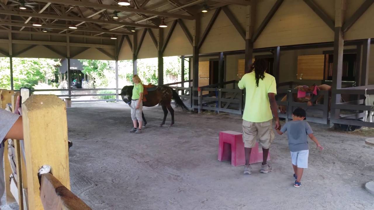 Horse Riding at Turtle Back Zoo - YouTube