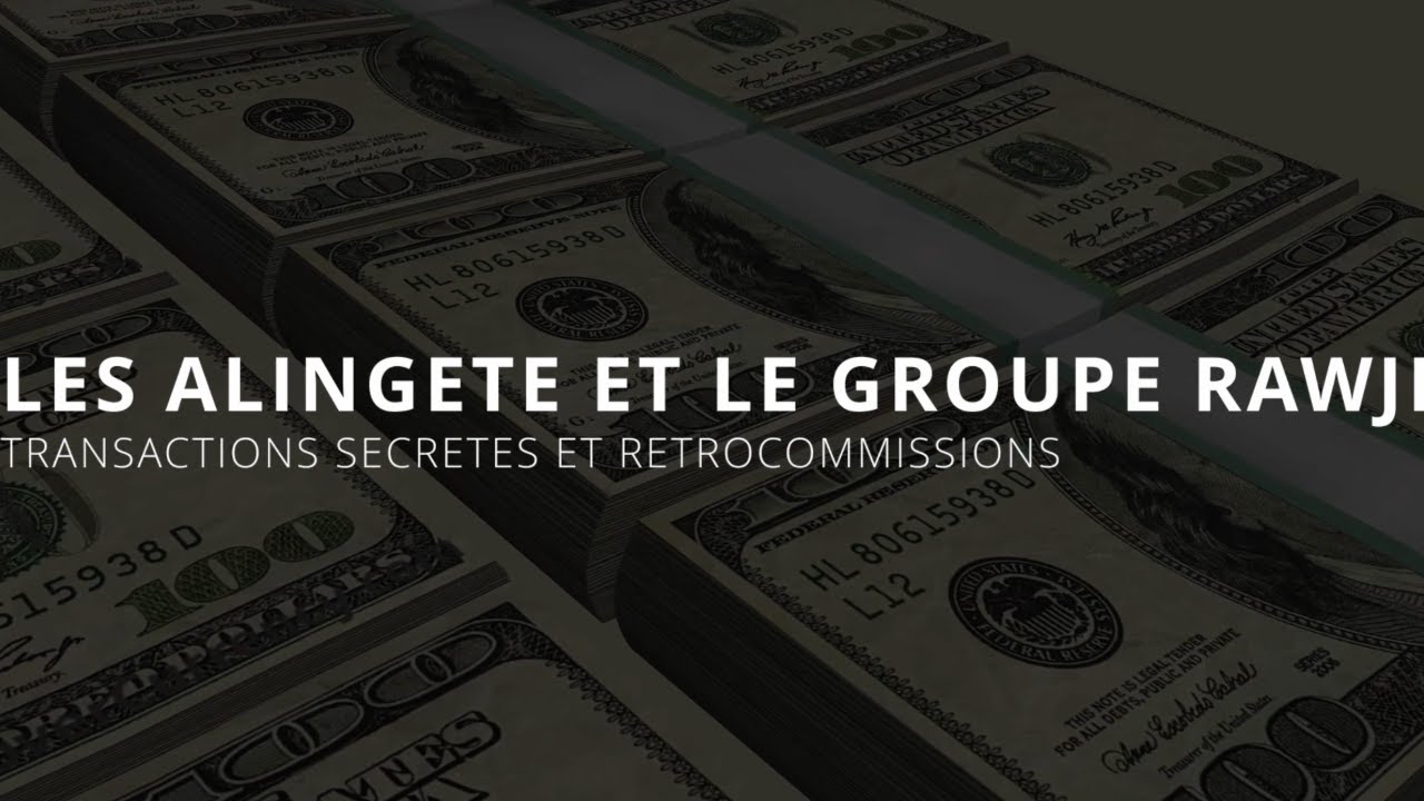 Alligator Leaks - Ep4 - LES ALINGETE ET LE GROUPE RAWJI : TRANSACTIONS ...
