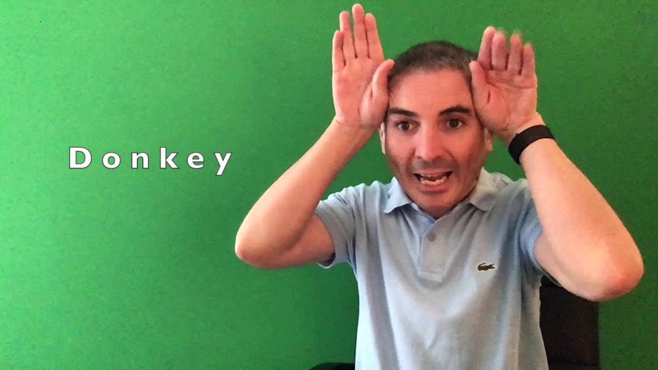 Learn Irish Sign Language Animals At The Zoo YouTube learn-irish-sign-language-animals-at-the-zoo-youtube