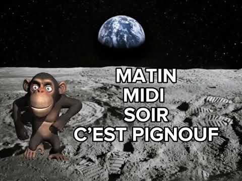 logobi pignouf 2 - YouTube