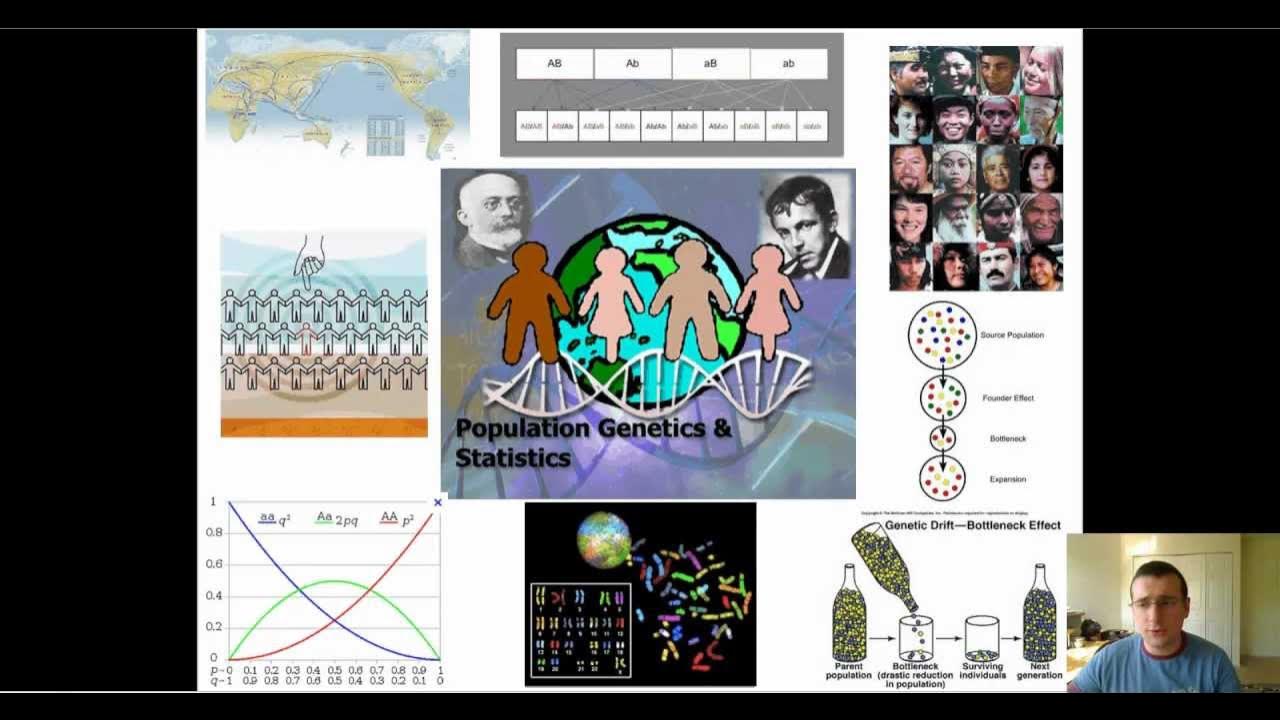 Introduction to Population Genetics - YouTube
