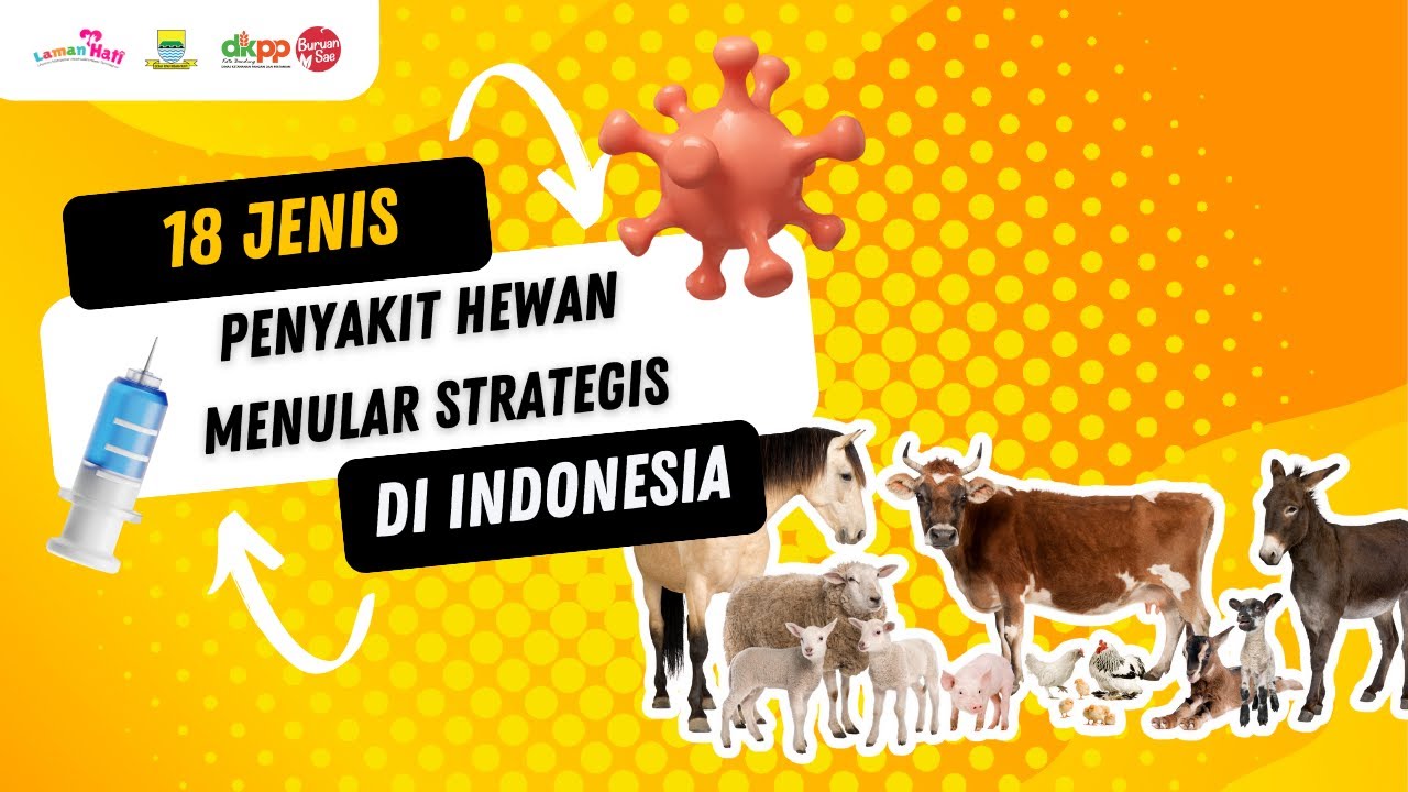 Mengenal Avian Influenza (Virus Flu Burung) - YouTube