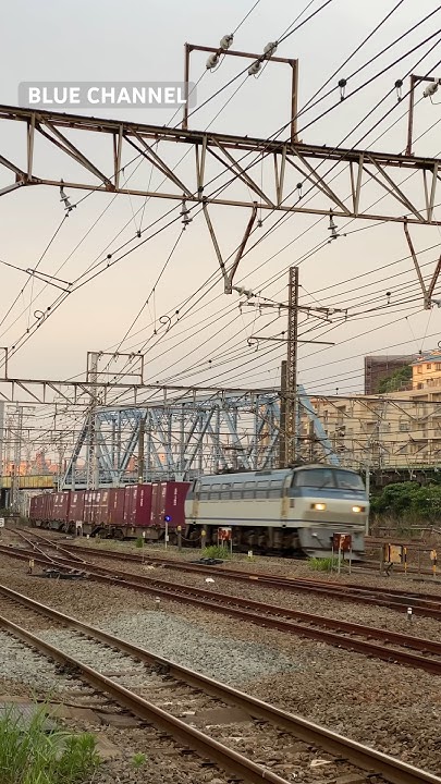 (貨物列車) 2024/05/19 2066レ EF66-126 + コキ26B (百済タ〜越谷タ) #Shorts - YouTube
