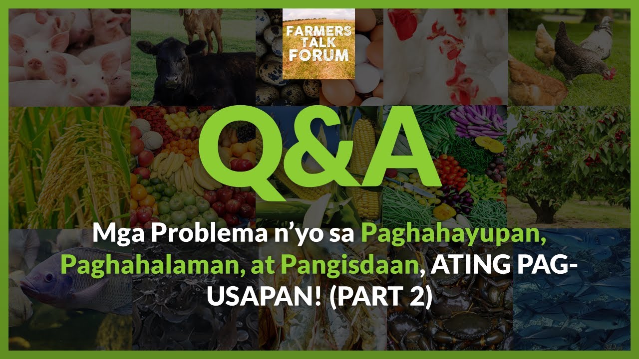 Q&A: Mga Problema n’yo sa Paghahayupan, Paghahalaman, at Pangisdaan ...