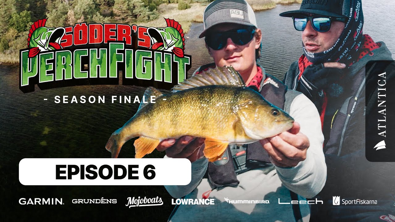 Perch Fight 2022 ep.6 - Season Finale! - YouTube
