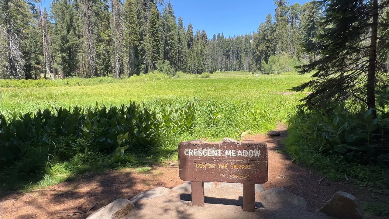 Sequoia National Park - Crescent Meadow - YouTube