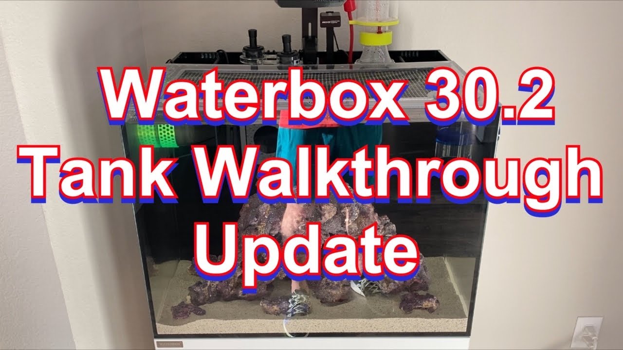 Waterbox AIO Nano Reef Tank Build | Ep. 24 | Walkthrough Tank Update ...