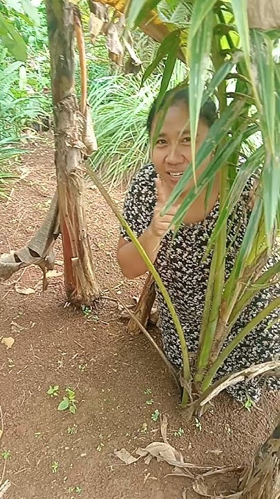 emak ngintip maling daun#shorts - YouTube