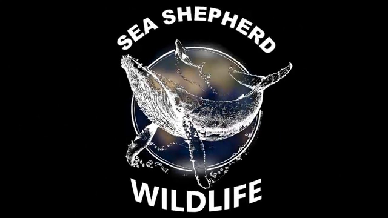 Sea Shepherd Conservation Society Logo TODAY, Join Us For The Survey