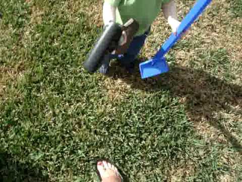 Clean Up the Poo Poo - YouTube