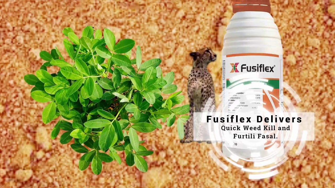 Fusiflex Recommendation Video Syngenta India - YouTube