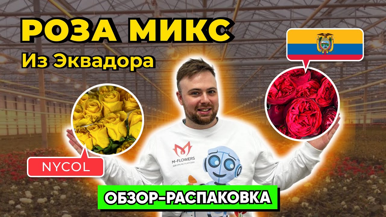 ОБЗОР-РАСПАКОВКА: роза микс от плантации Nycol - YouTube