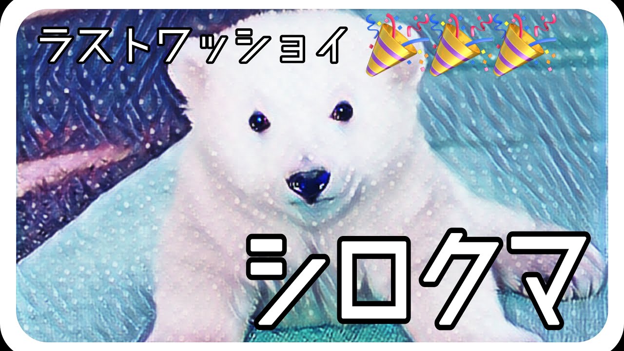 シロクマ 編曲/尾野カオル #エレクトーン演奏 #JABBERLOOP - YouTube