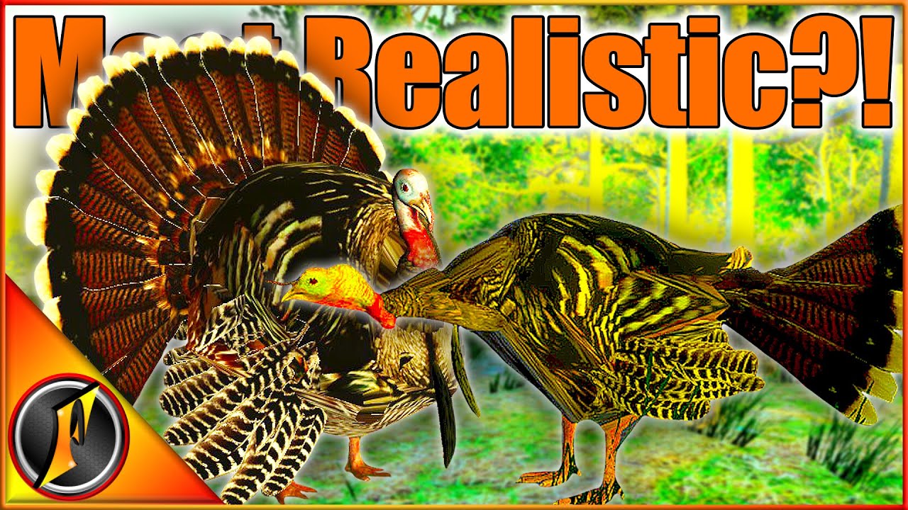 NEW Turkey Hunting in The Season! | Most Realistic Turkey Hunting Game ...