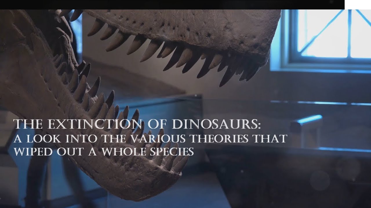 The Extinction of Dinosaurs: A Look Into The Various Theories That ...