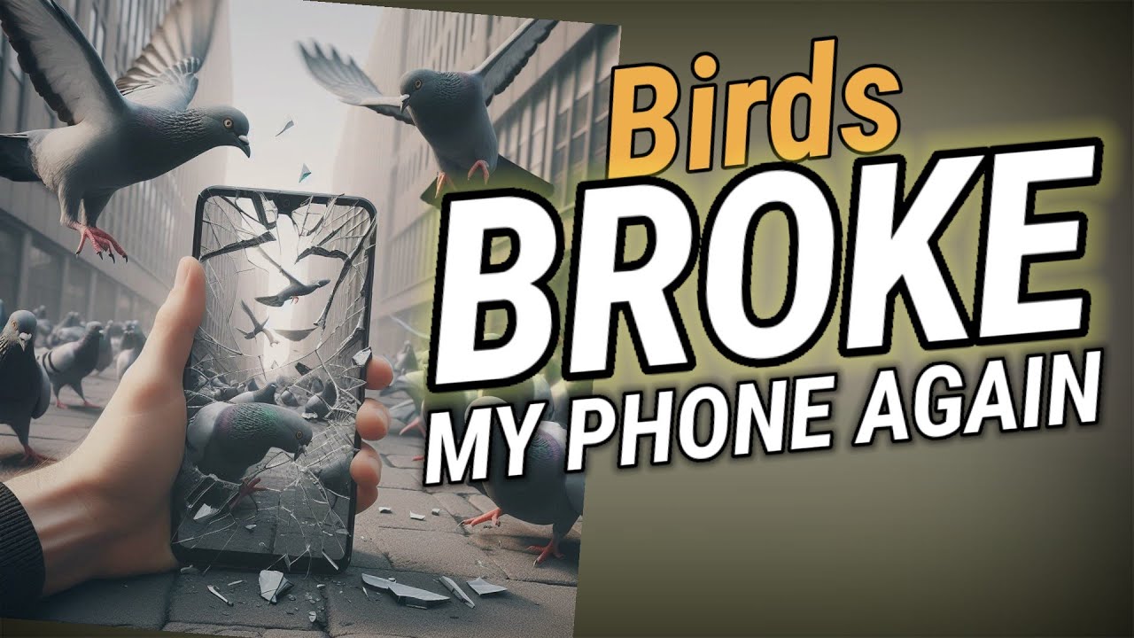 Broke My Phone While Filming Birds | Ultra HD | Birds Sound | Bird ...