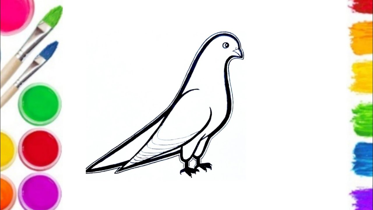 Bird Drawing,Pigeon Drawing for Kids / Very EASY DRAWING Pigeon / Step ...