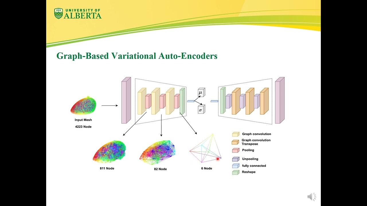 Registration of Deformed Tissue: A GNN-VAE Approach with Data ...