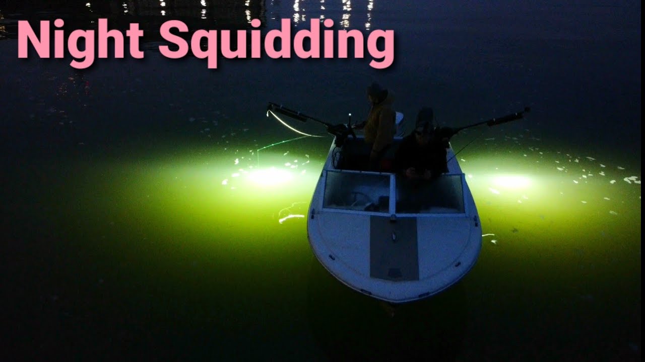 Seattle Night Squidding! - YouTube