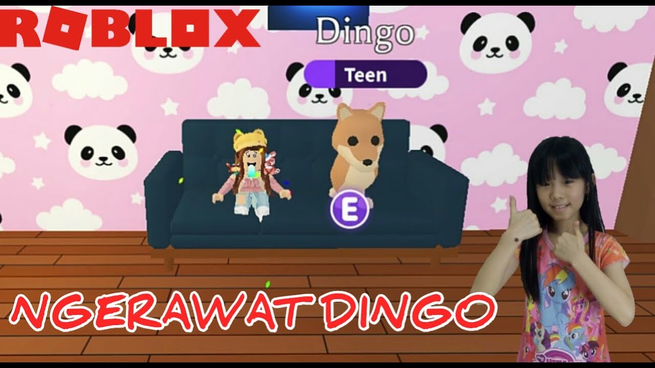 NGERAWAT DINGO! ROBLOX ADOPT ME INDONESIA #7 - YouTube