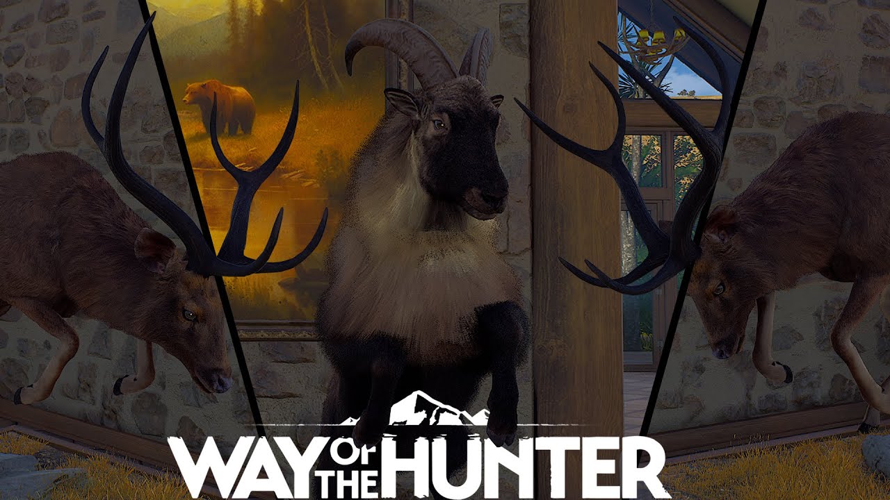 Huge 5 Star Himalayan Tahr in Way Of The Hunter! - YouTube
