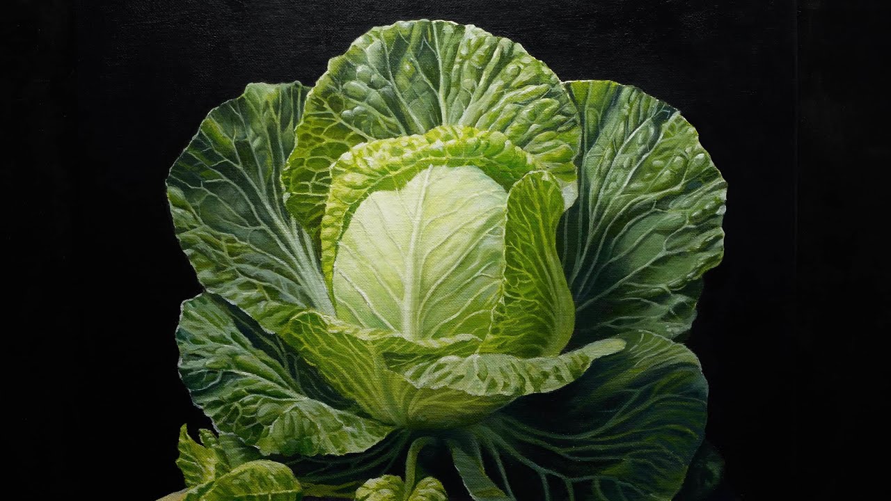 Painting a Realistic Cabbage With Oil. Time Lapse /105 - YouTube