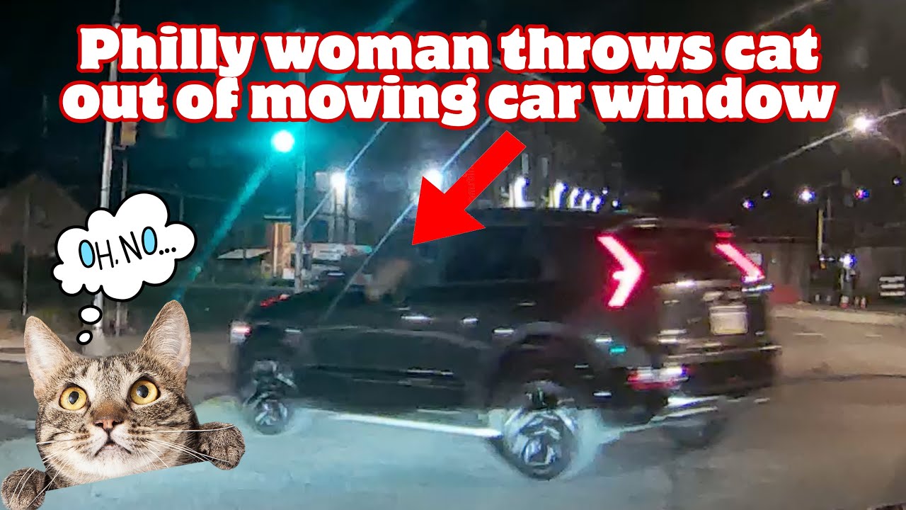 Philly woman throws a cat from moving car window - YouTube