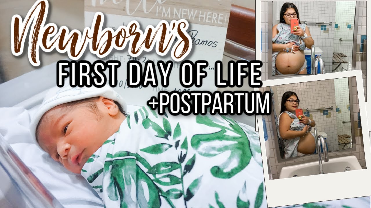 NEWBORN'S FIRST 24 HOURS OF LIFE + WHAT TO EXPECT AFTER C SECTION BIRTH ...