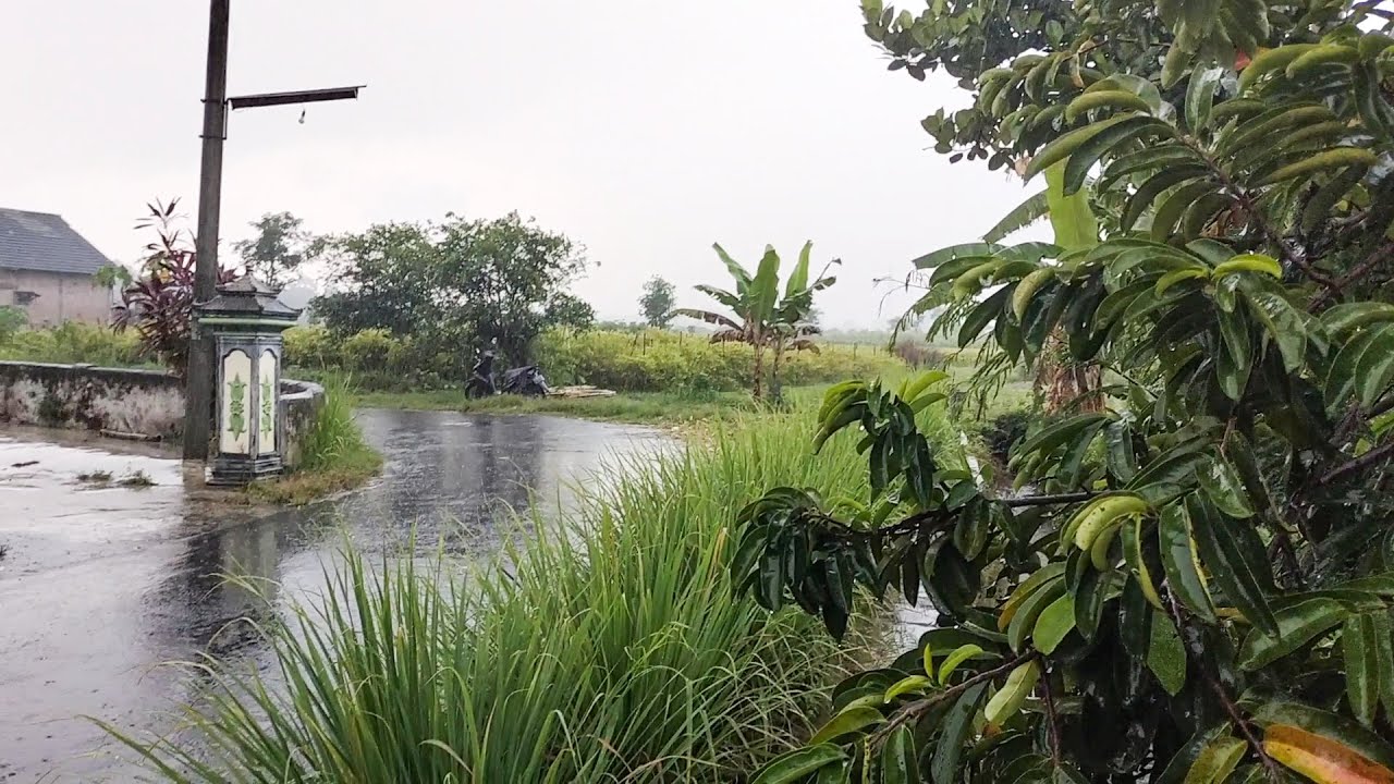 Hujan sore hari di pedesaan yang sepi | Suasana hening tanpa aktivitas ...
