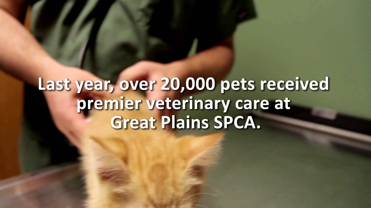 Great Plains SPCA-Vet - YouTube