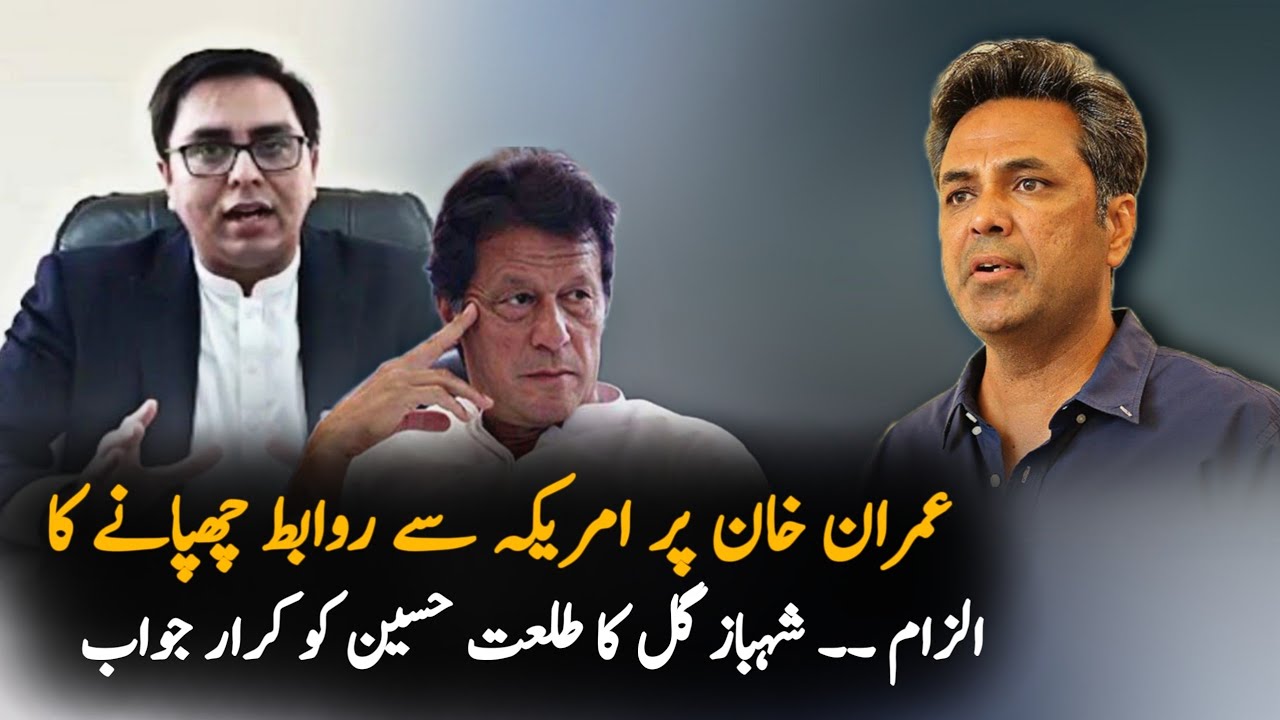 Shehbaz gill reply to talat Husain for allegating Imran Khan | PTI ...