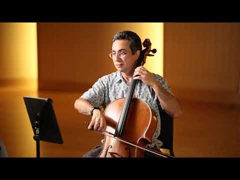 Sevcik Op.3 Var.2 - YouTube