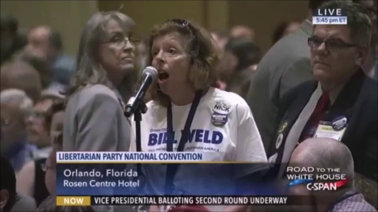 Libertarian Party of Michigan LEC Meeting - The Suspension of James ...