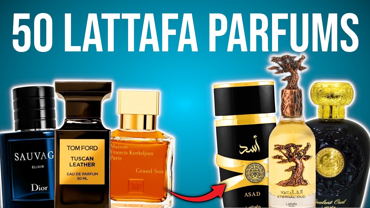 Die 50 BESTEN LATTAFA DUPES die du haben musst! - YouTube