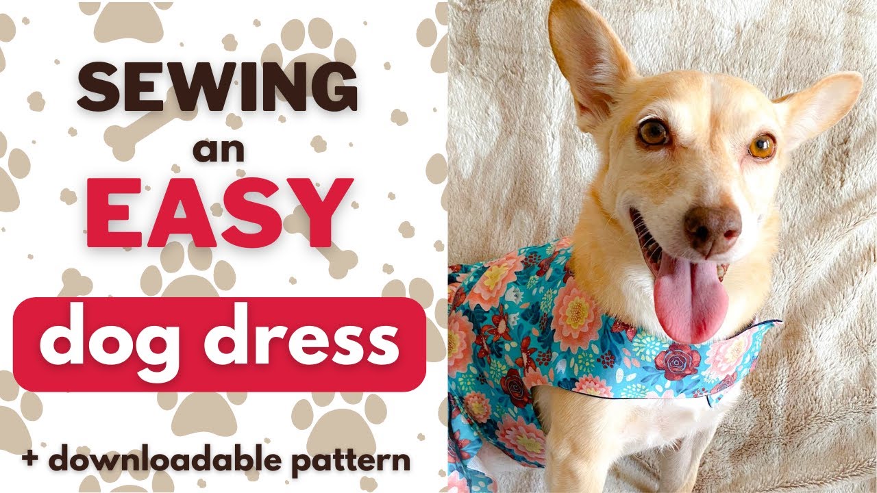 SEWING AN EASY DOG DRESS ️ BEGINNERS EASY DIY CLOTHES FOR DOGS ...