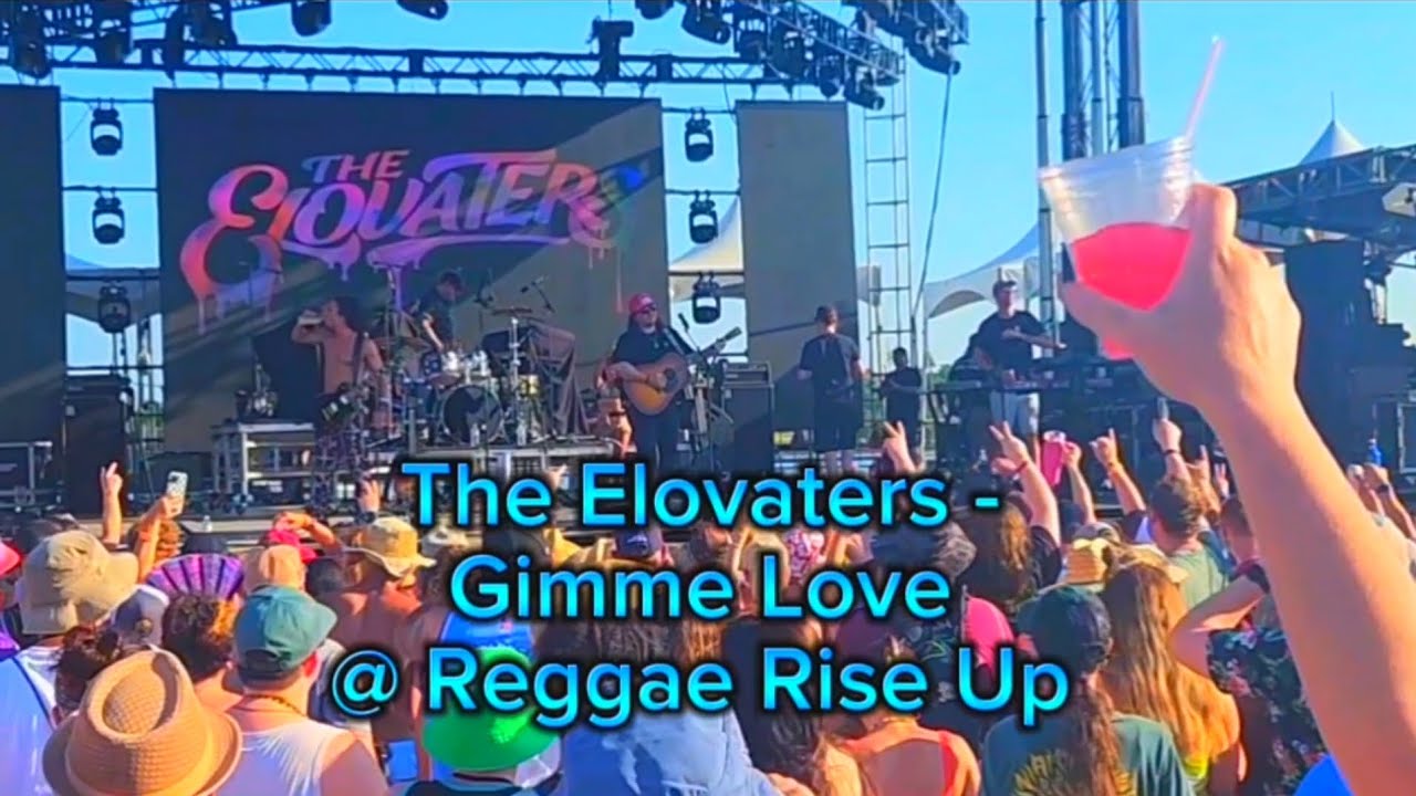 The Elovaters - Gimme Love - Live - at - Reggae Rise Up - YouTube