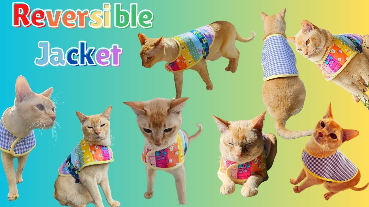 Sewing DIY cat rainbow reversible jacket (Free pattern linked) - YouTube